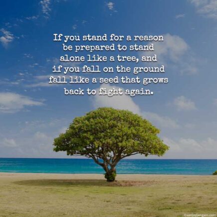 Good Thoughts in English | 1100+ Thought of the Day in English