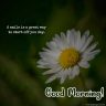 Good Morning Quotes in English | 1100+ Good Morning Wishes in English