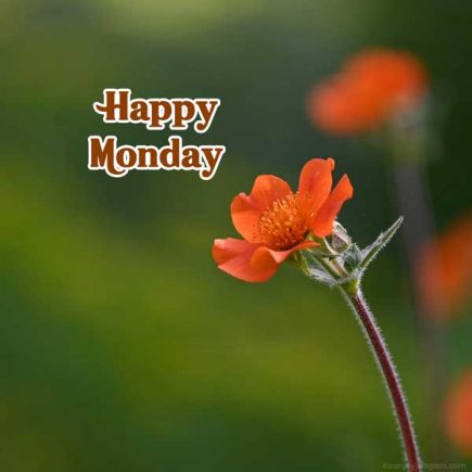 Happy Monday Images | 1100+ Monday Greetings Images | Sanjay Jangam