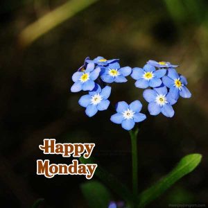 Happy Monday Images | 1100+ Monday Greetings Images | Sanjay Jangam