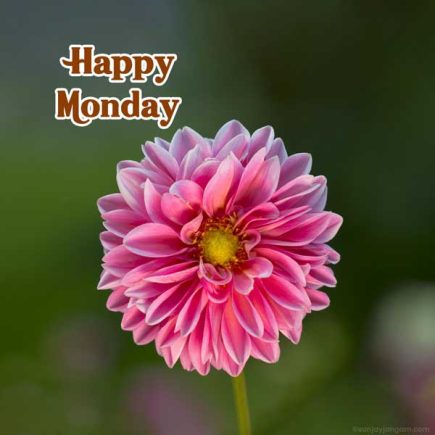 Happy Monday Images | 1100+ Monday Greetings Images | Sanjay Jangam