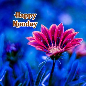 Happy Monday Images | 1100+ Monday Greetings Images | Sanjay Jangam