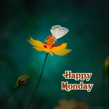 Happy Monday Images | 1100+ Monday Greetings Images | Sanjay Jangam
