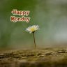 Happy Monday Images | 1100+ Monday Greetings Images | Sanjay Jangam